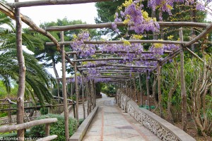 A Day at the Augustus Gardens and Carthusian Monastery of Capri