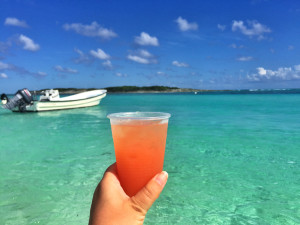 Exuma Powerboat Adventure from Nassau - Luxe Adventure Traveler