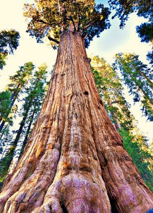 38 Tips for Visiting the Best US National Parks - Luxe Adventure Traveler