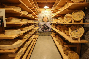 Bitto Storico: The Oldest Edible Cheese in the World - Luxe Adventure ...