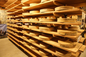 Bitto Storico: The Oldest Edible Cheese in the World - Luxe Adventure ...