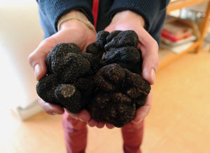 Truffle Lover's Guide to Provence - Luxe Adventure Traveler