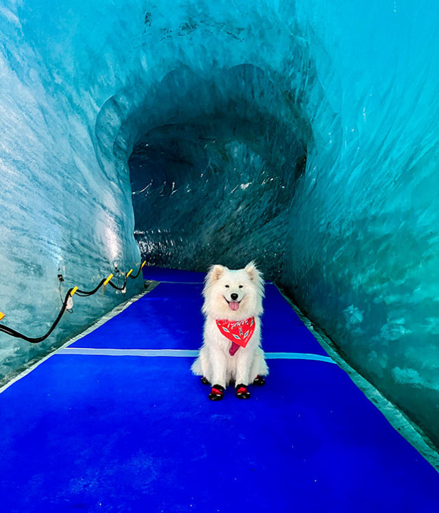 The Complete Guide to Chamonix's Mer de Glace - Luxe Adventure Traveler