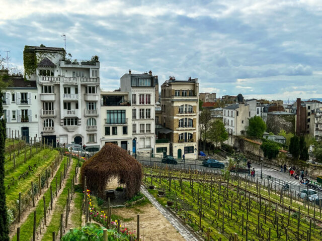 How to Visit Paris's Clos Montmartre for a Wine Tasting - Luxe ...